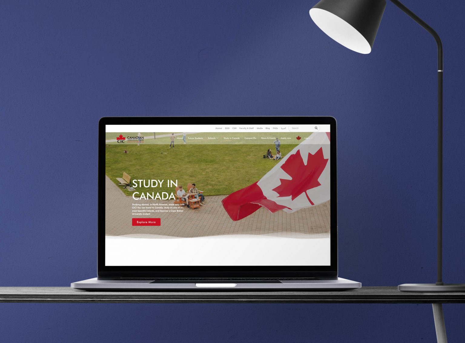 Our work - Codeness Lab